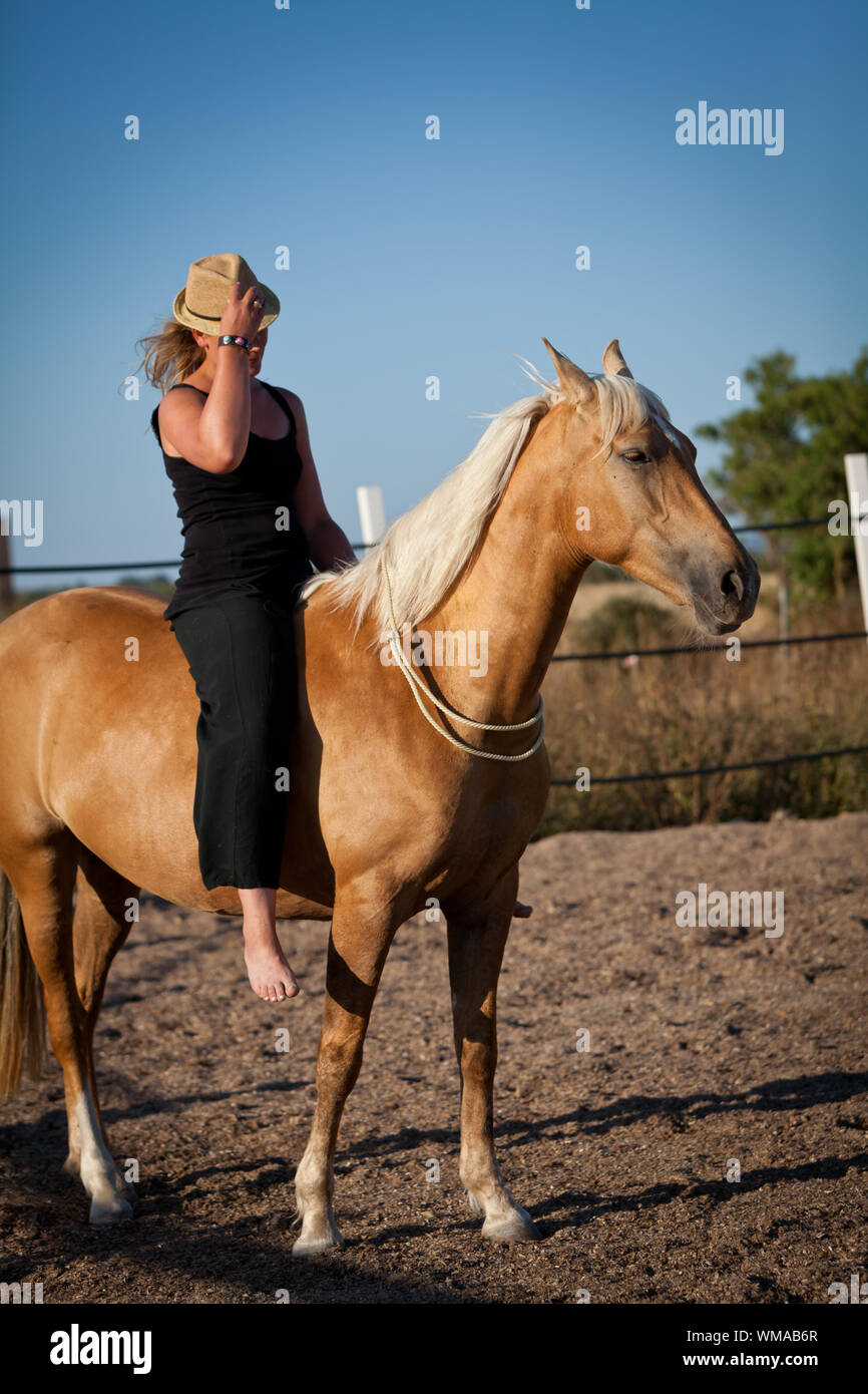 Horse trainer hi-res stock photography and images - Alamy