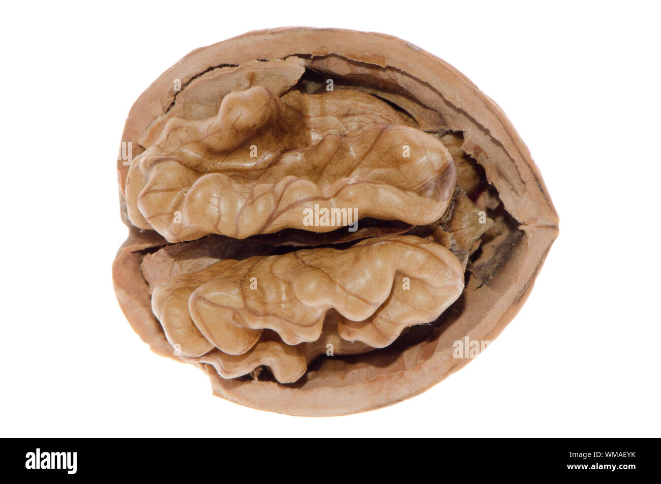 Crack walnut isolated on a white background Stock Photo - Alamy