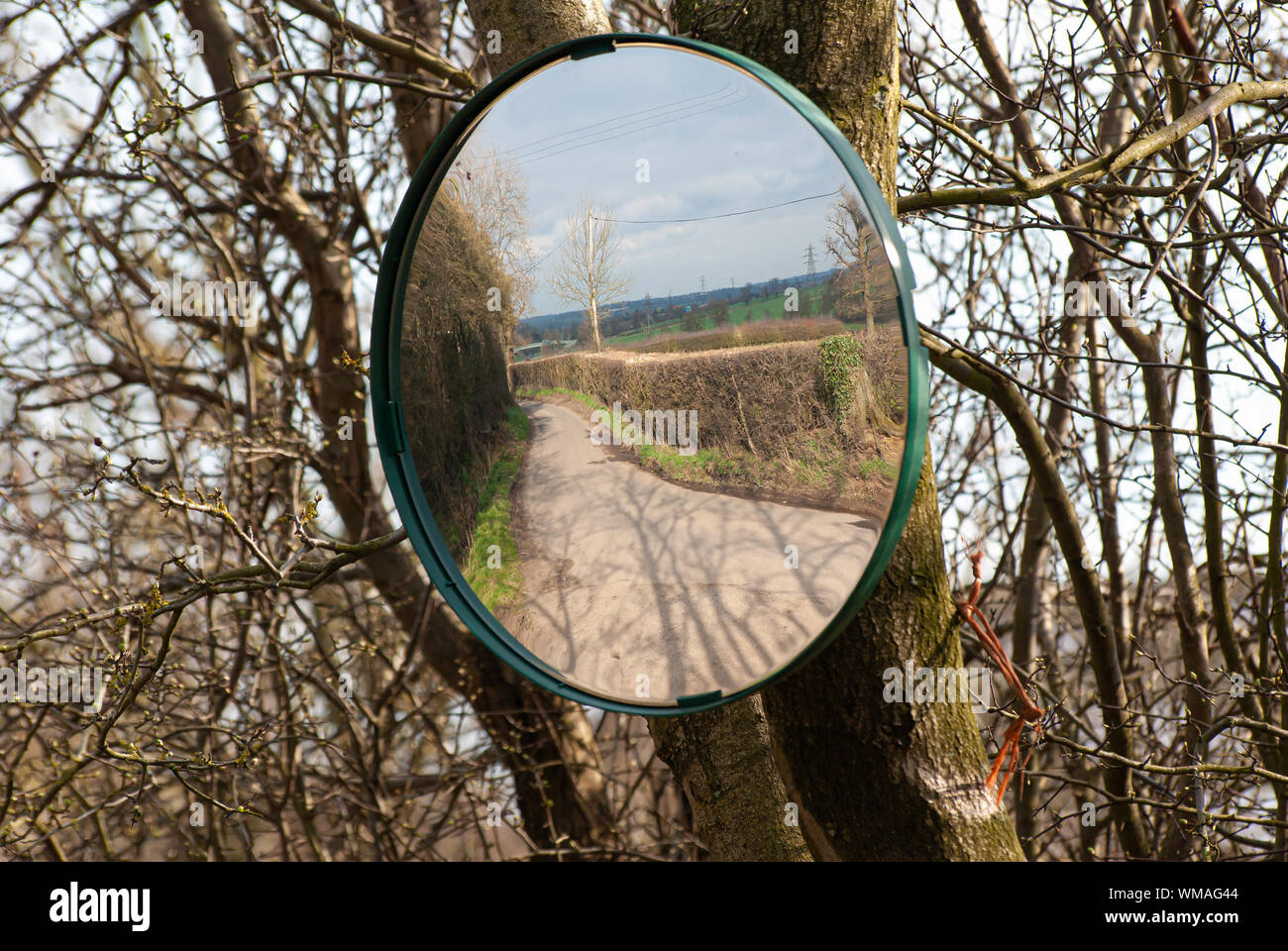 Reflection from a roadside safety mirror on a hedge-lined lane in ...