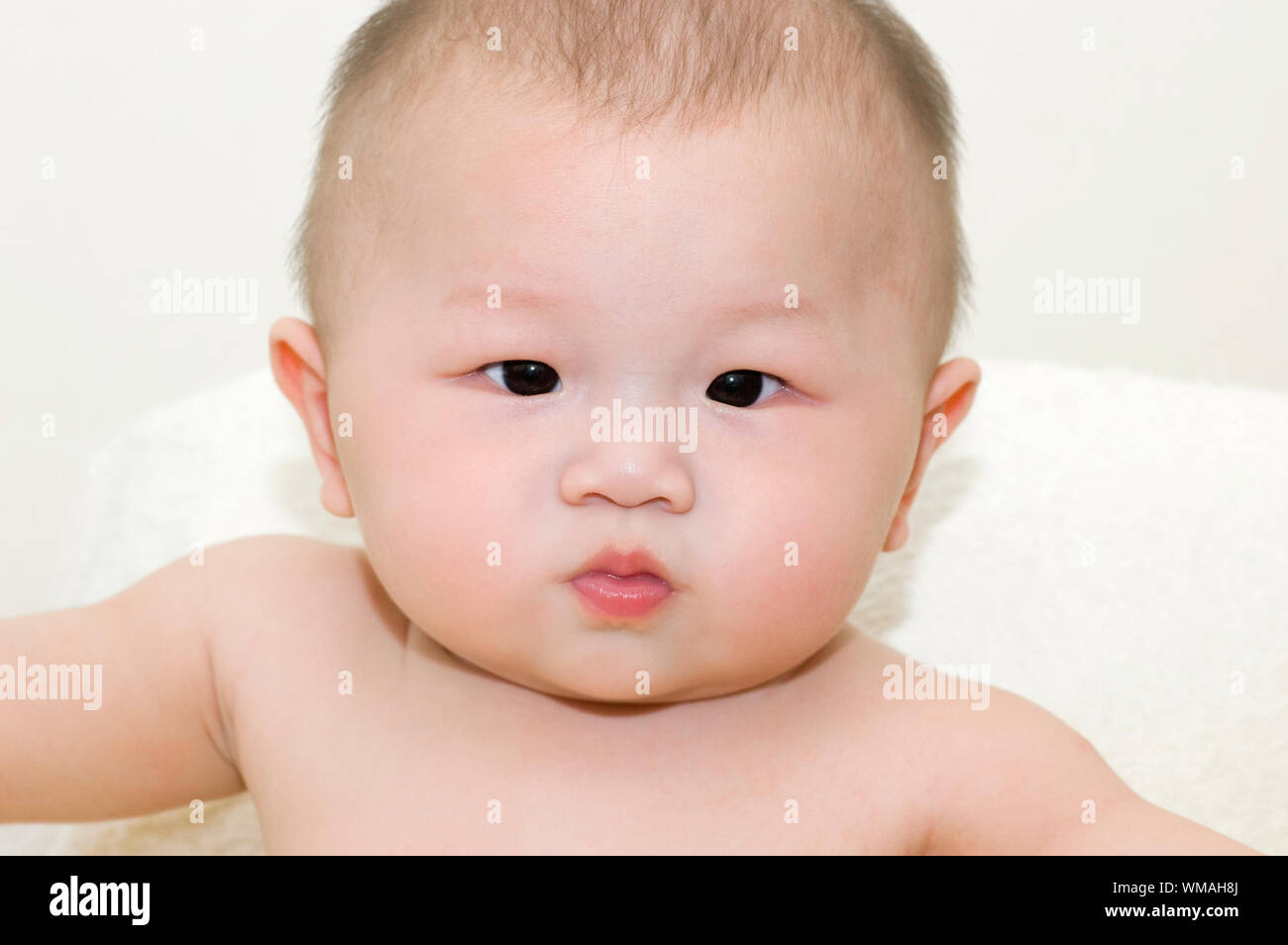 Horizontal portrait of a adorable 6-month-old Asian baby boy Stock Photo - Alamy