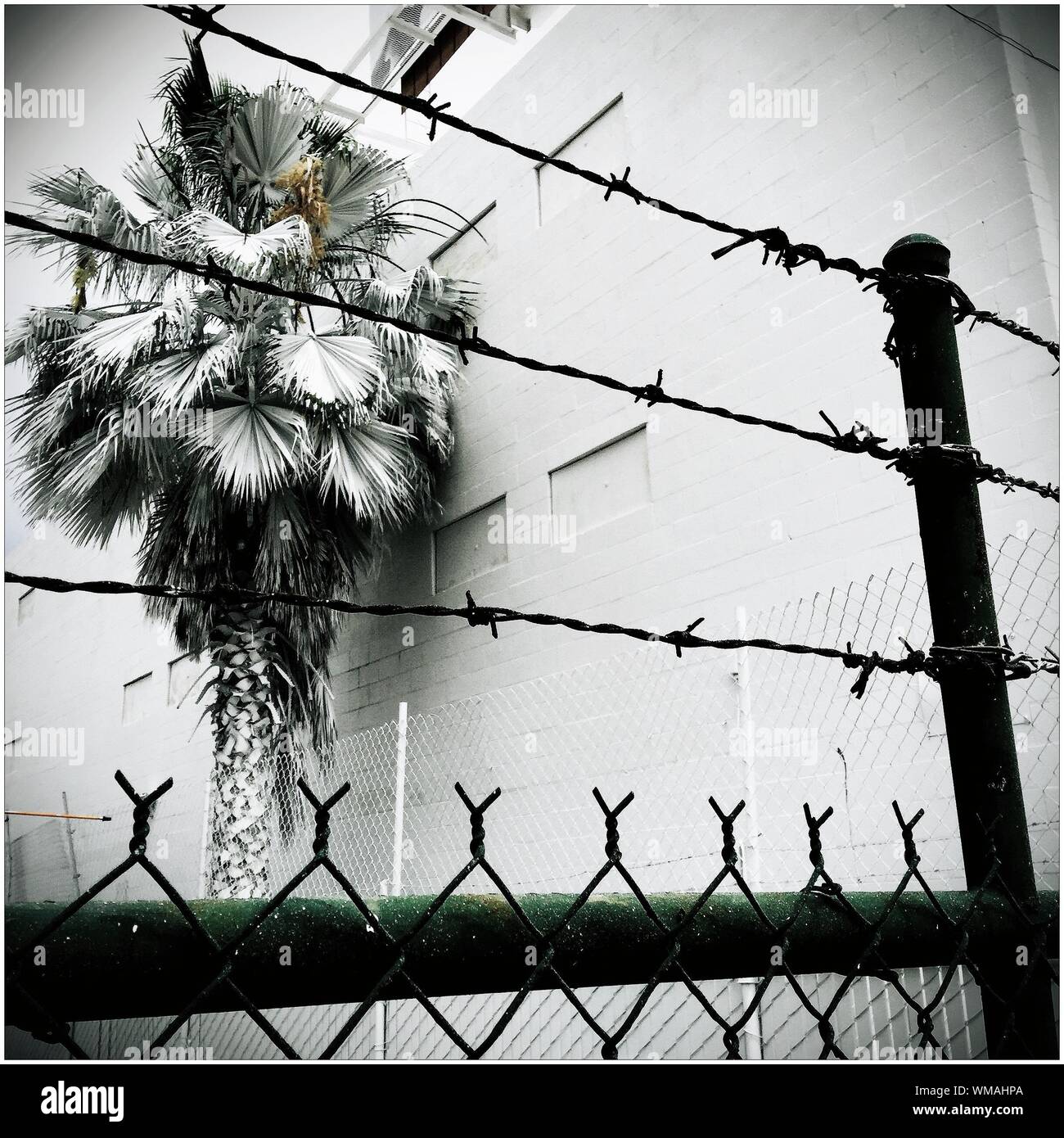 Barbed wire wall hi-res stock photography and images - Alamy