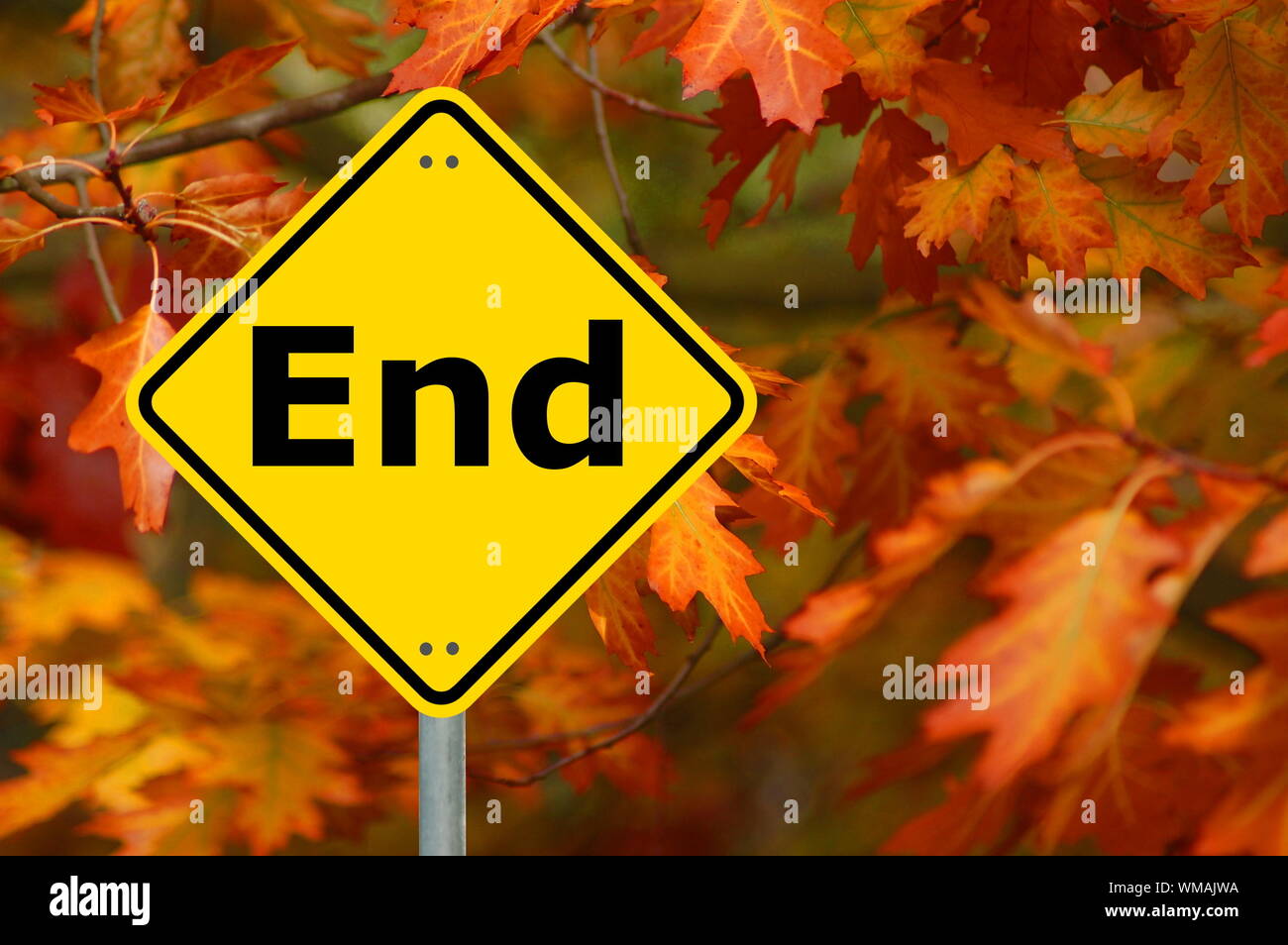Dead end yellow diamond warning sign hi-res stock photography and ...