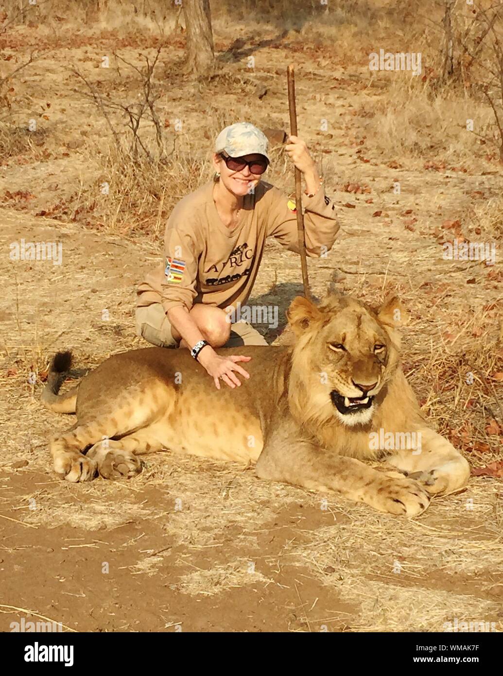 Lion in cap hi-res stock photography and images - Alamy