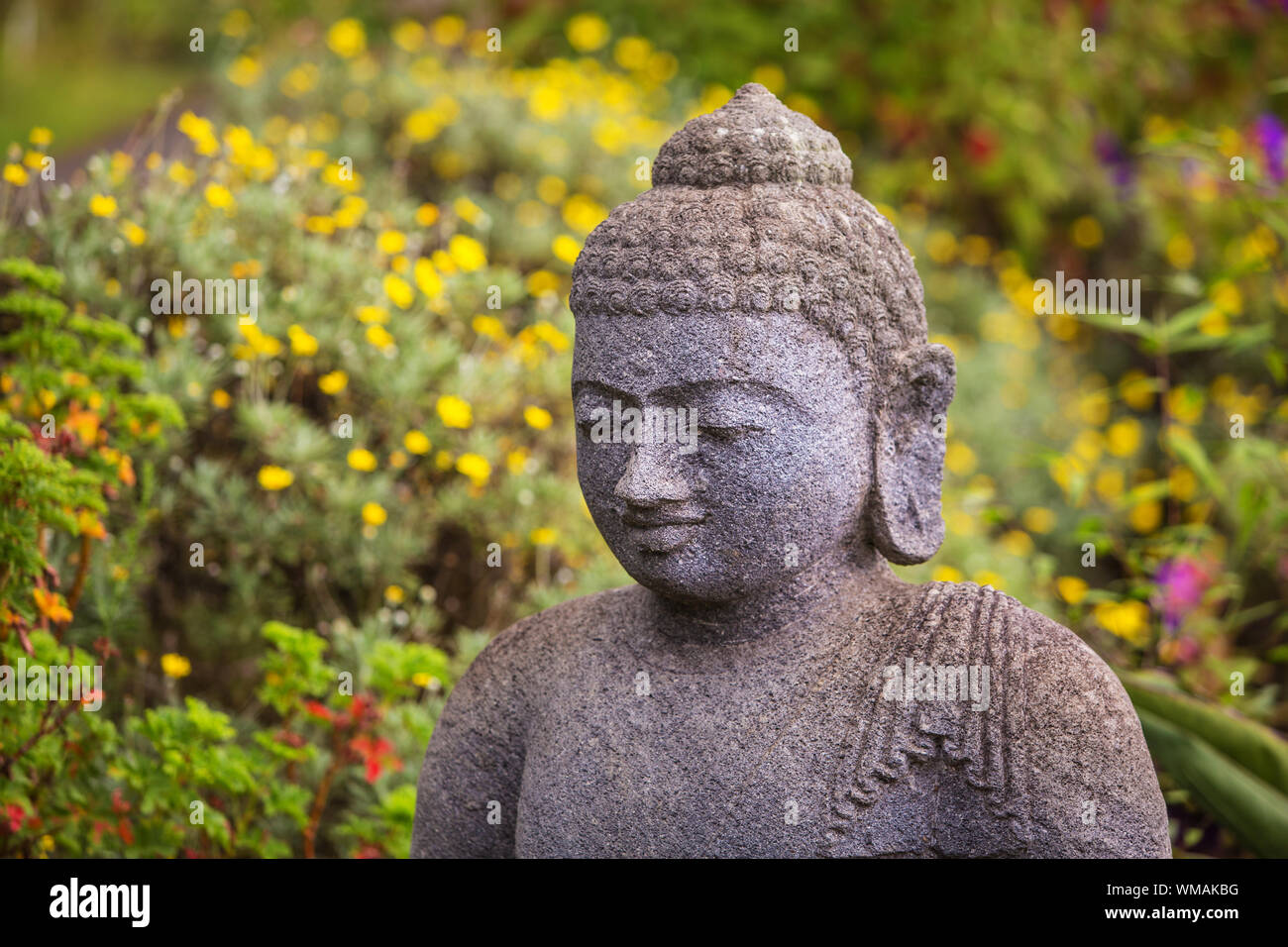 Close up of grinning stone Buddah statue Stock Photo - Alamy