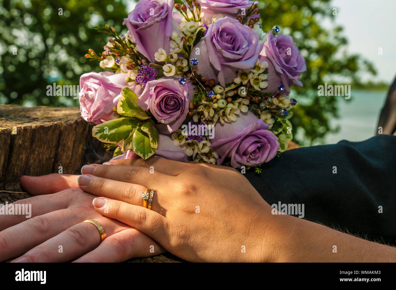 Just married couple showing their wedding rings Stock Photo - Alamy