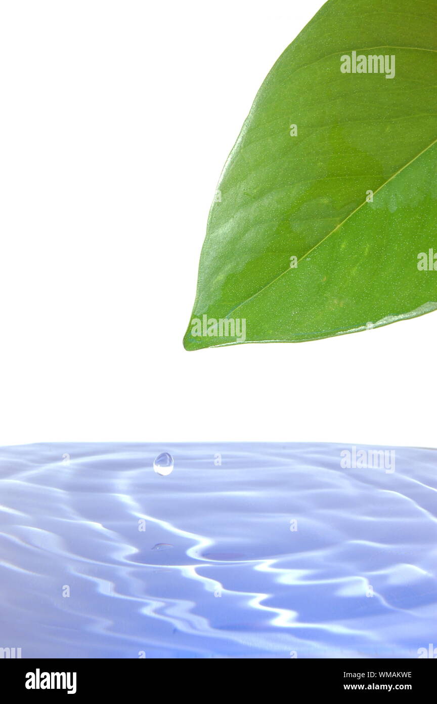 leaf and water drop showing healthy lifestyle Stock Photo - Alamy