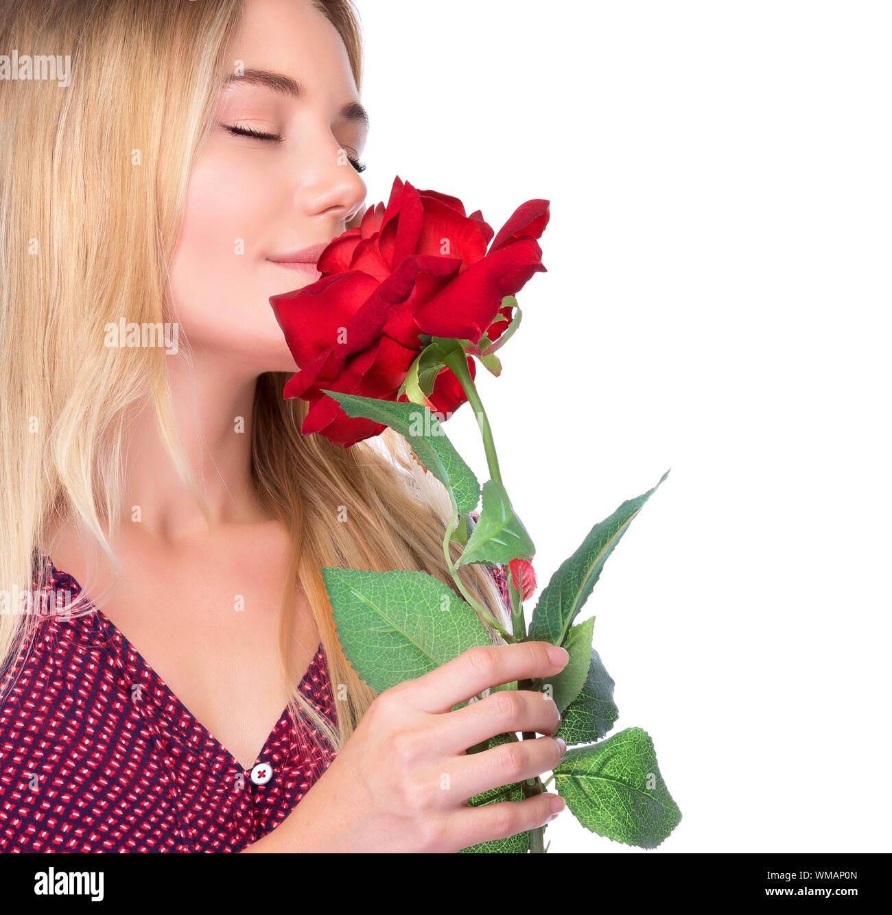 Rose Stock's Instagram, Twitter & Facebook on IDCrawl