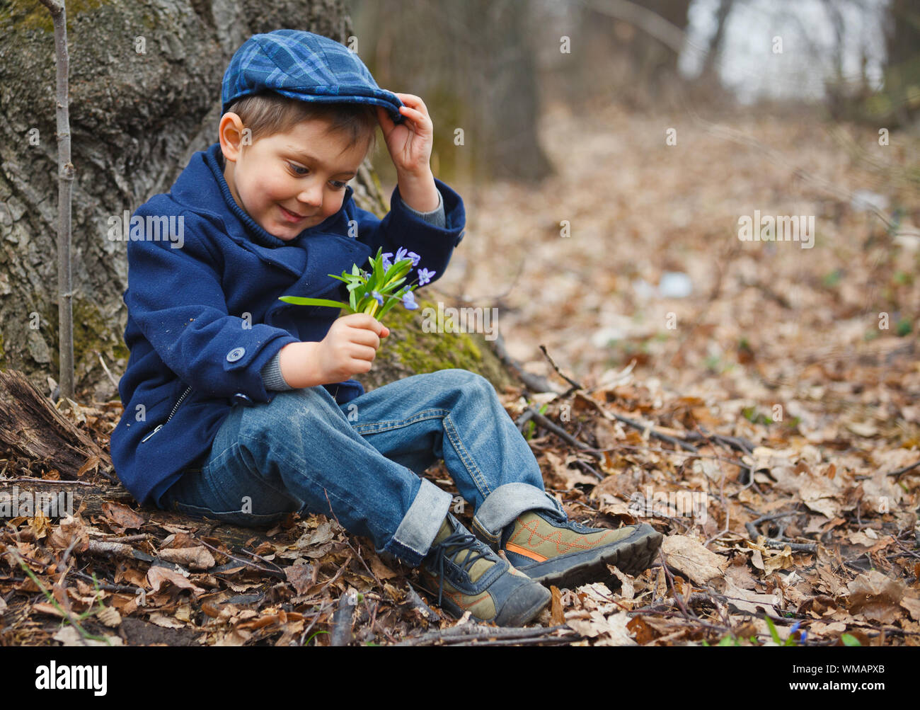 Cute little boy in forest with primroses flowers on spring day Stock ...
