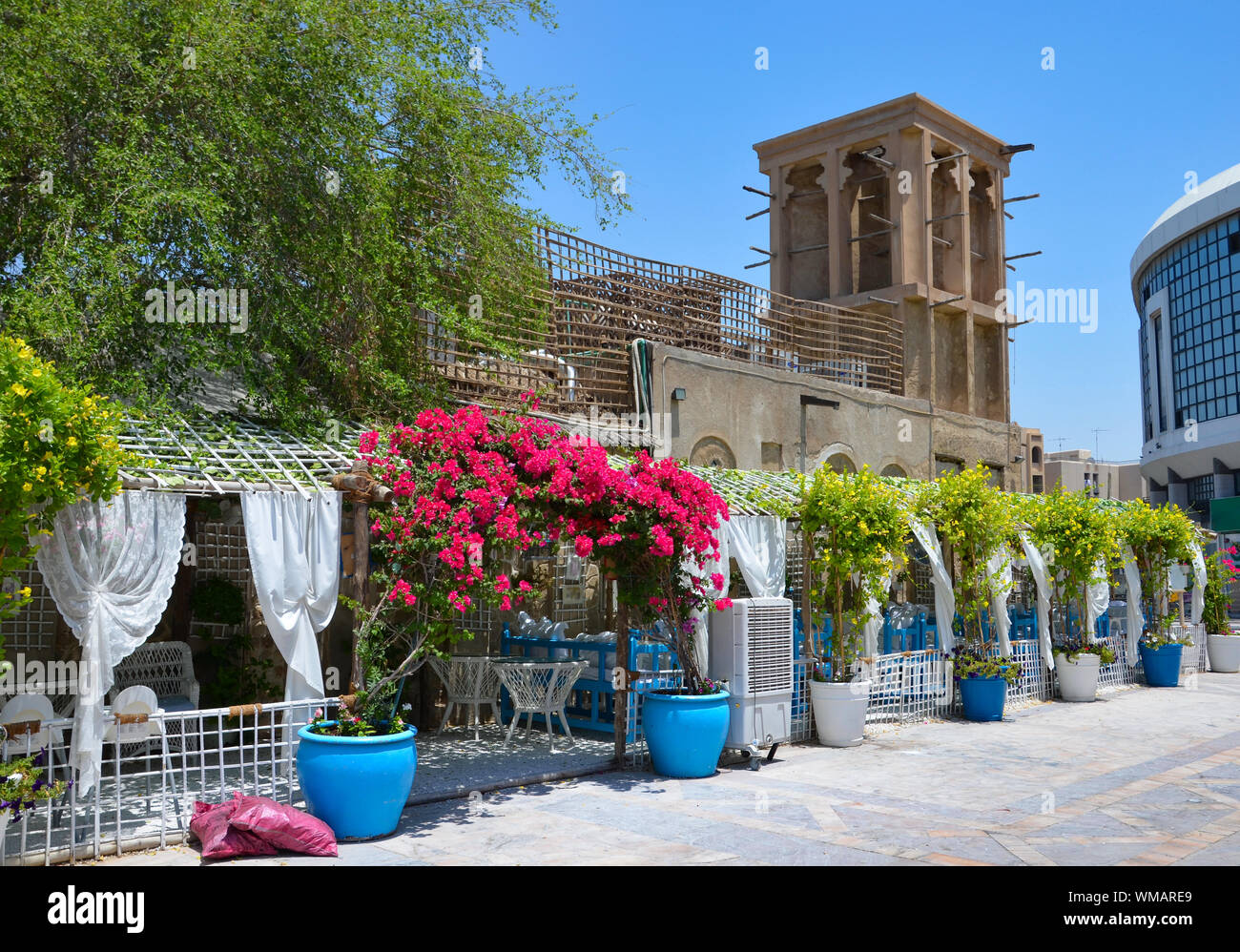 Uae Desert Flowers High Resolution Stock Photography and Images - Alamy