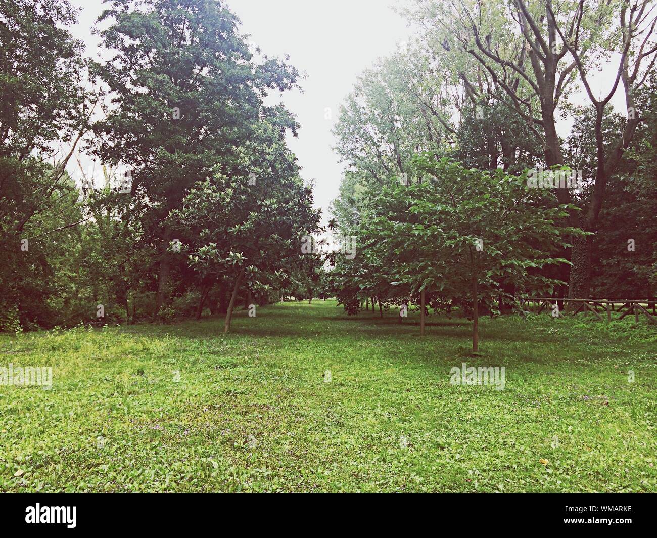 Idyllic nature hi-res stock photography and images - Alamy