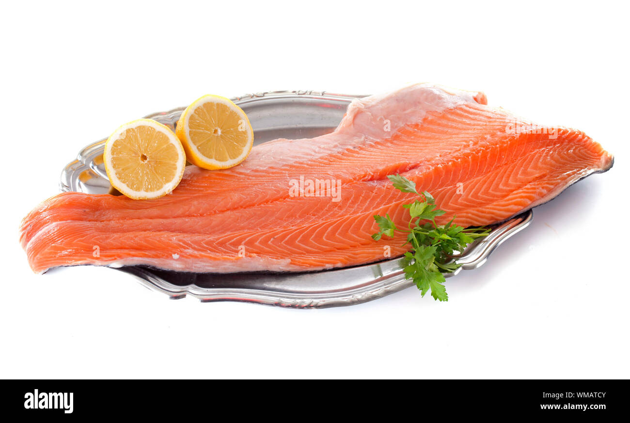 salmon fillet in front of white background Stock Photo - Alamy