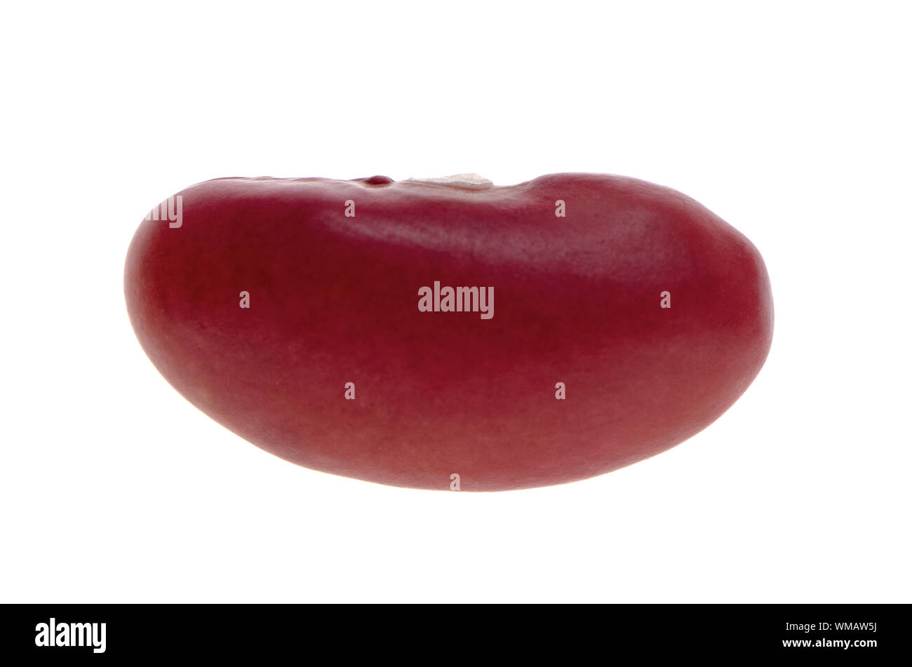 Single red bean isolated on white background Stock Photo - Alamy