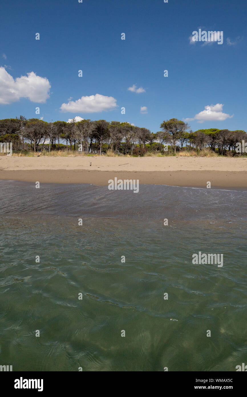 The beach of Marina di Alberese, one of the wildest beaches of the ...