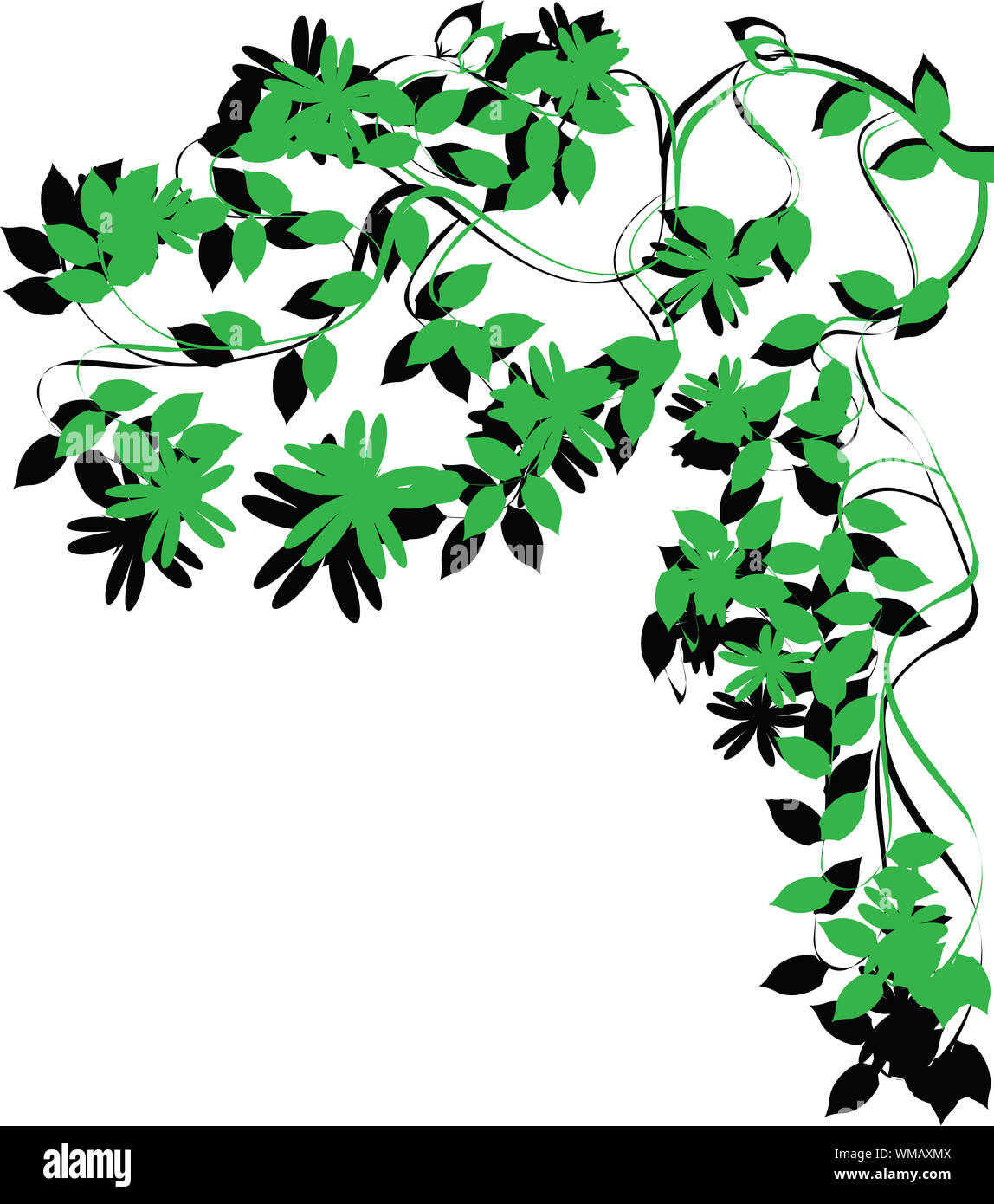 Green tree brunch foliage Stock Photo - Alamy