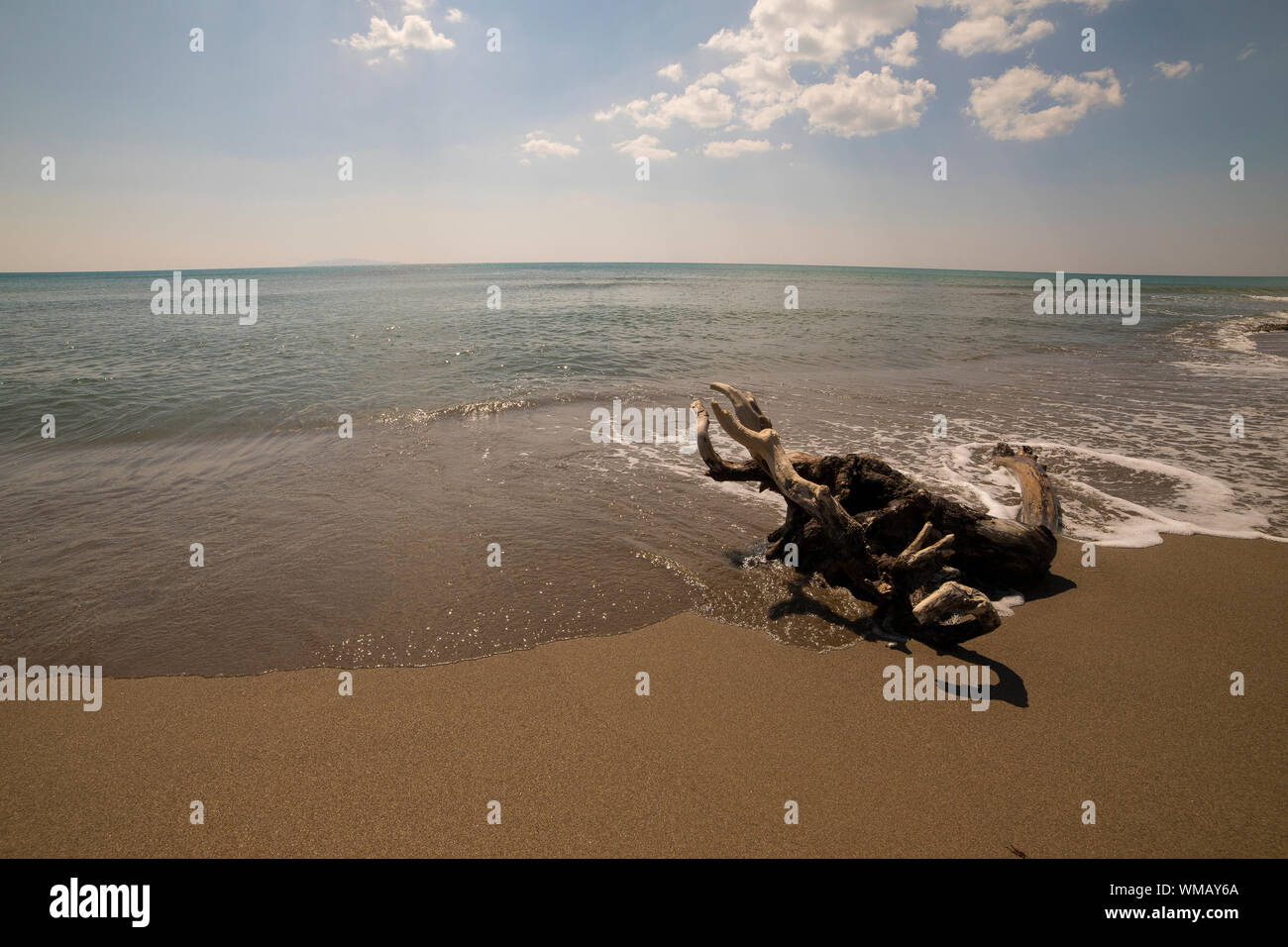 The beach of Marina di Alberese, one of the wildest beaches of the ...