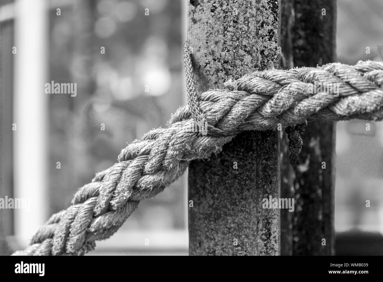 Pole Tied Black and White Stock Photos & Images - Alamy
