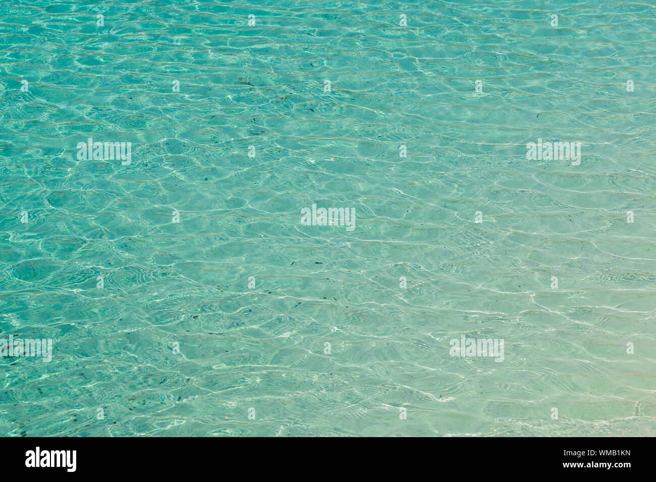 Blue swimming pool water surface texture background Stock Photo - Alamy