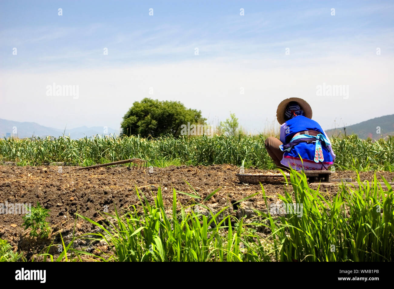 women working in farm Stock Photo - Alamy