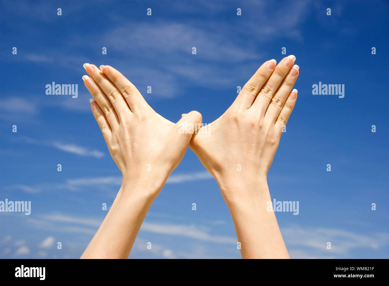 Peace peaceful hand signal hi-res stock photography and images - Alamy