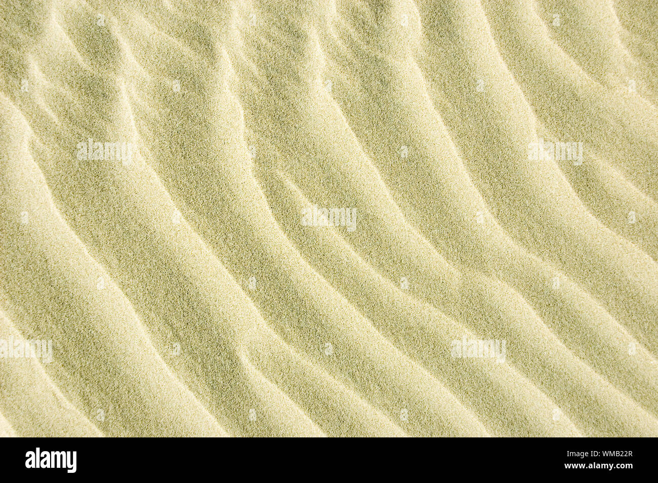 sea sand texture Stock Photo - Alamy