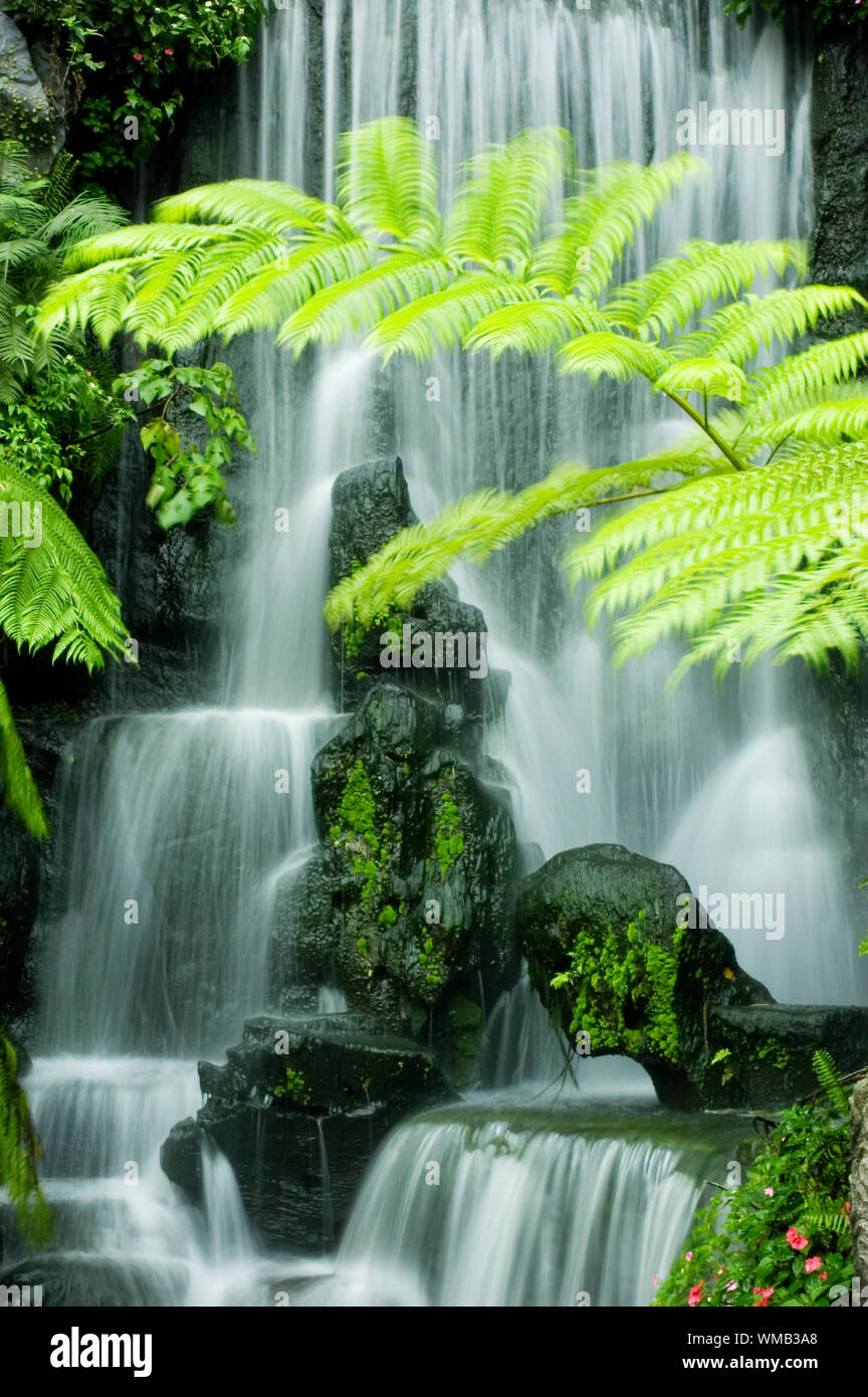 Japanese garden waterfalls, slow shutter Stock Photo - Alamy