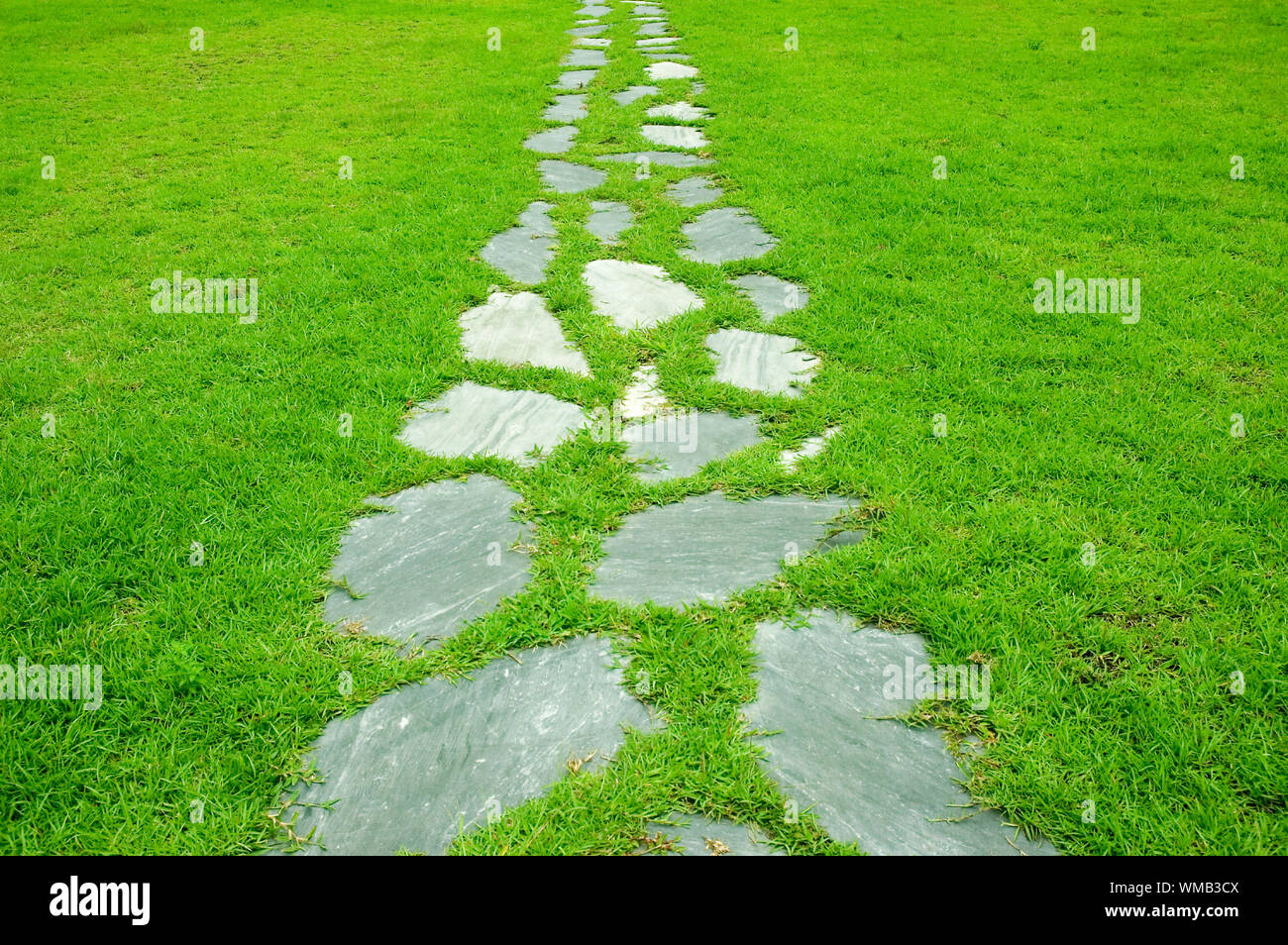 Garden stone path with grass growing up between the stones Stock Photo ...