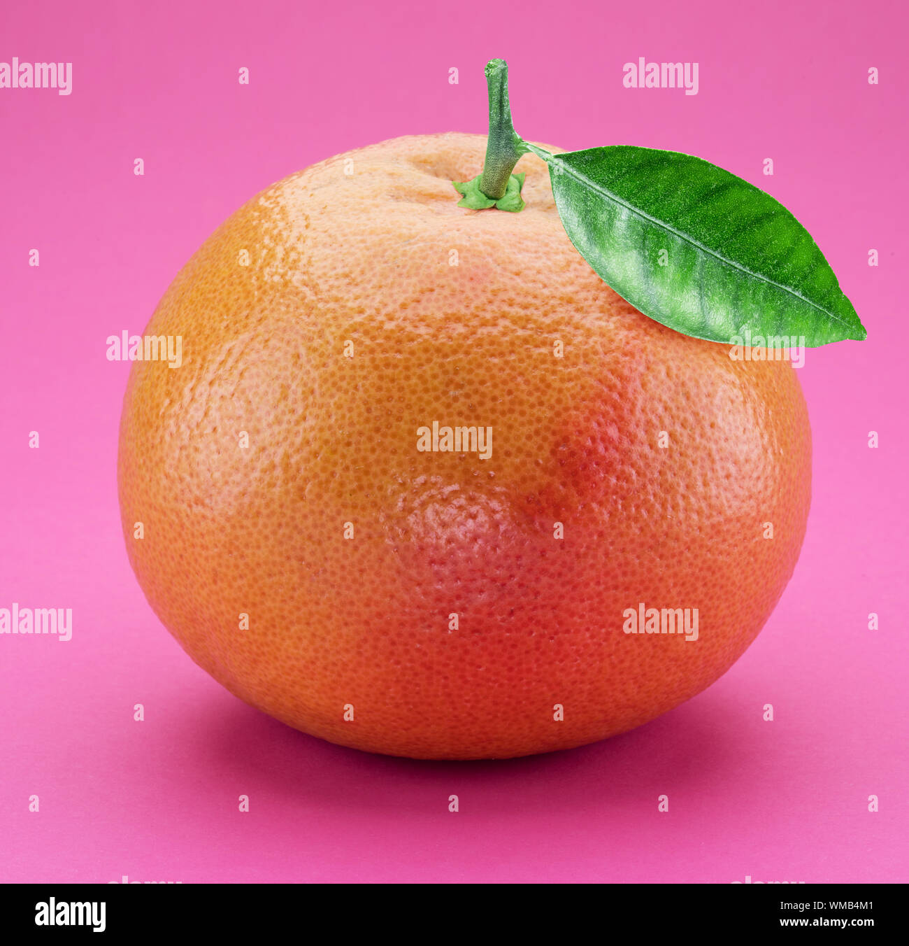 One perfect grapefruit with a leaf isolated on pink background Stock ...