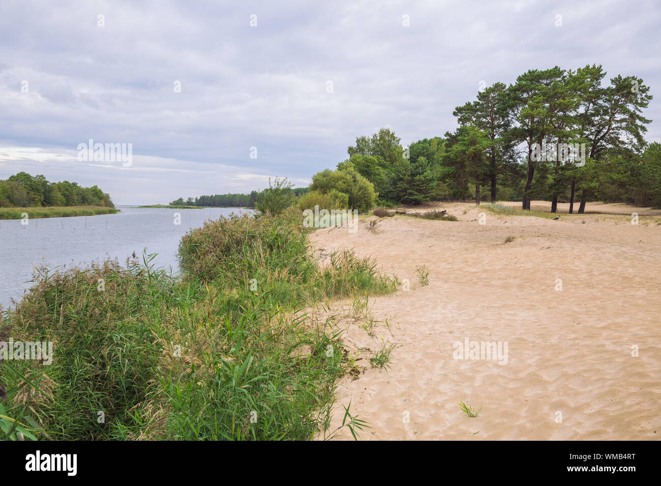 City Carnikava, Latvian Republic. Green nature in summer with River ...
