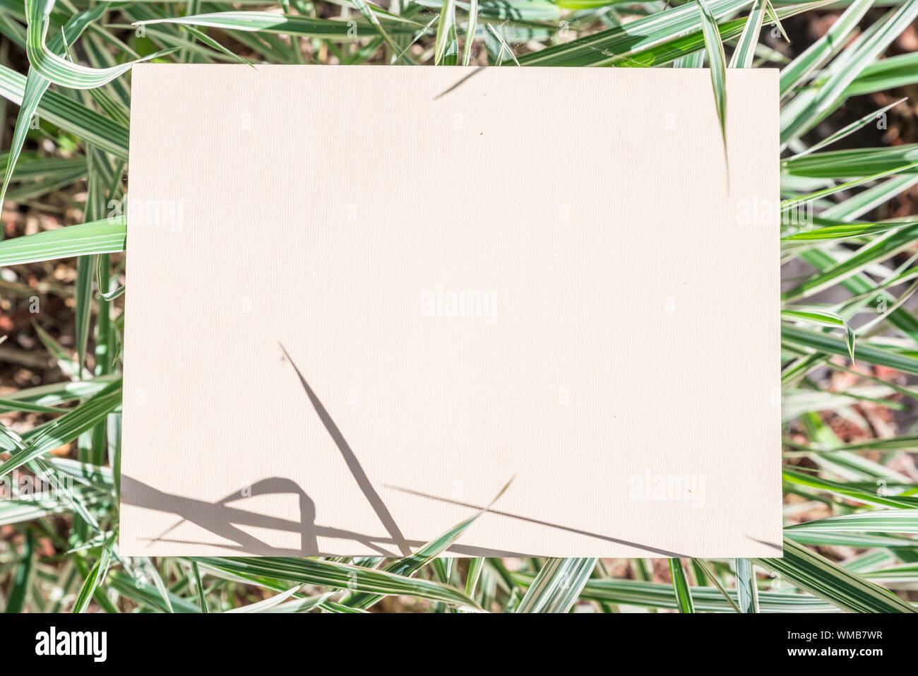 Paper blank on the green grass. Green grass as a frame Stock Photo - Alamy