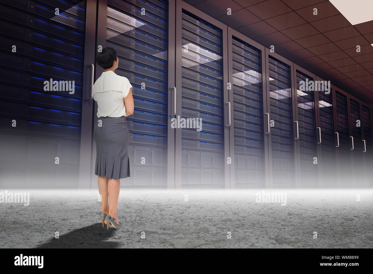 Businesswoman standing against server hallway in desert setting Stock ...