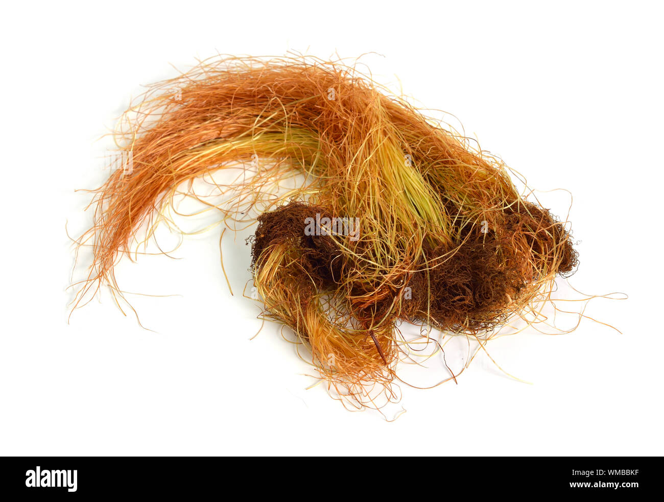 Farming silk Cut Out Stock Images & Pictures - Alamy