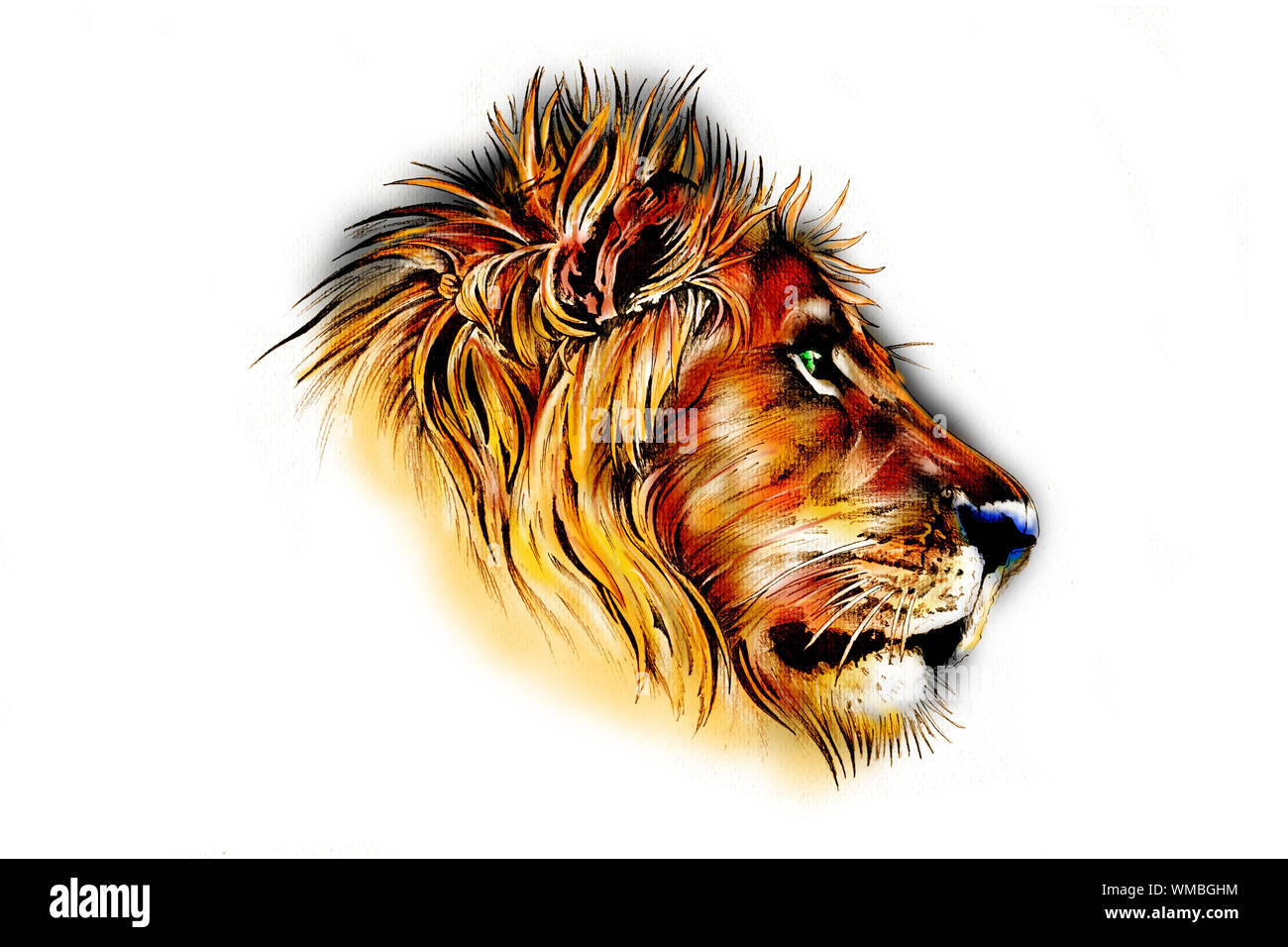 lion art illustration color Stock Photo - Alamy