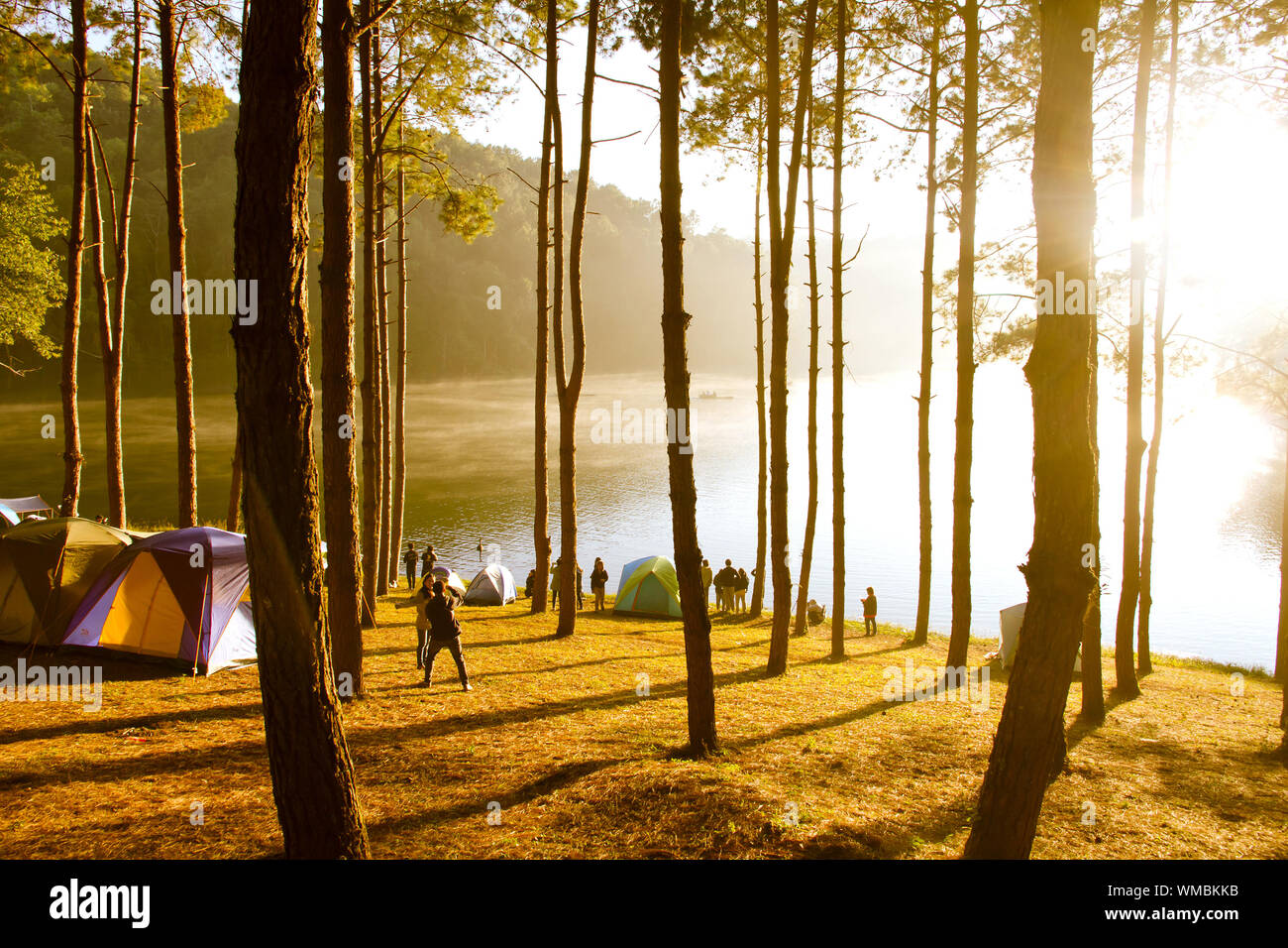 Pang Tong Under Royal Forest Park ( Pang ung Stock Photo - Alamy