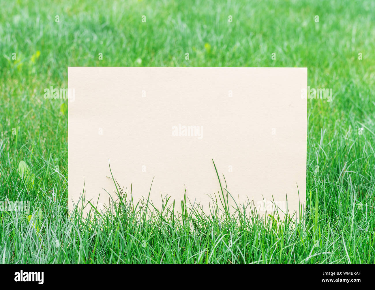 Paper blank on the green grass. Green grass as a frame Stock Photo - Alamy