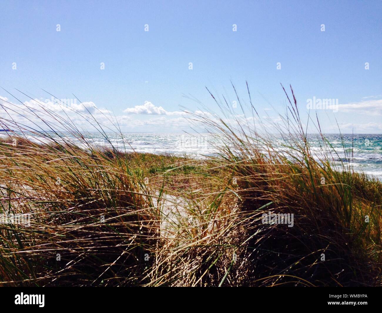 Wind dry hi-res stock photography and images - Alamy