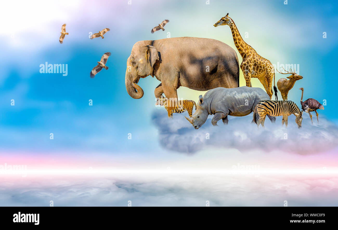 Wildlife Conservation Day Wild animals to the home. Or wildlife ...