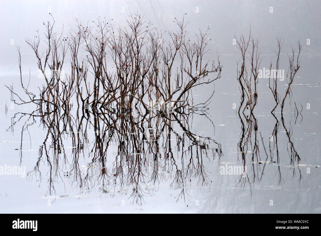 Submerged in water hi-res stock photography and images - Alamy