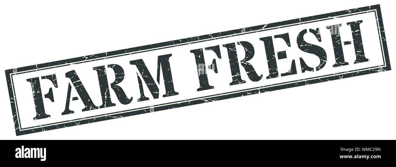 farm fresh stamp. farm fresh square grunge sign. farm fresh Stock ...