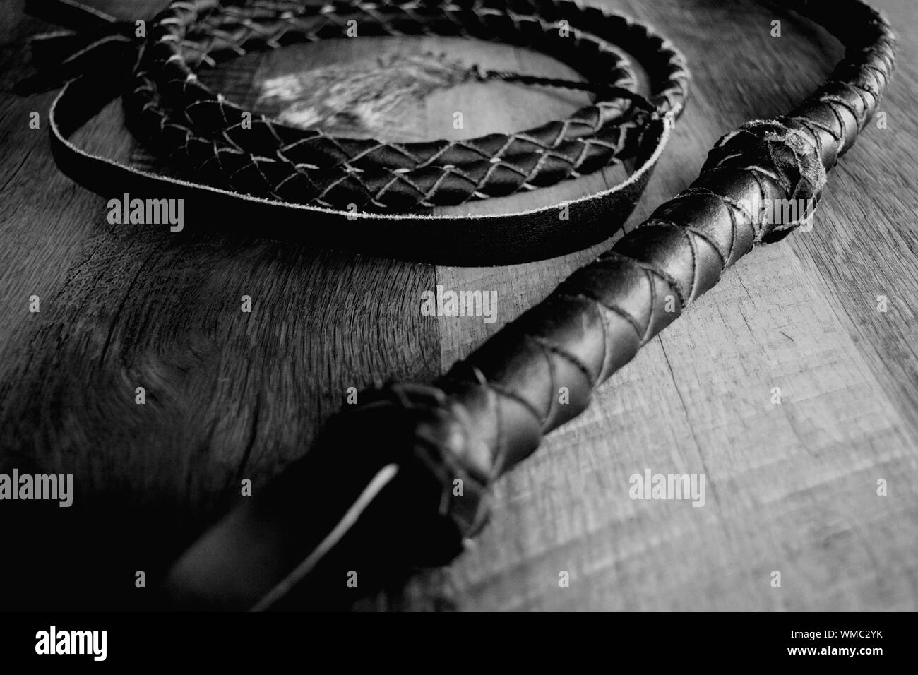 Bullwhip hi-res stock photography and images - Alamy