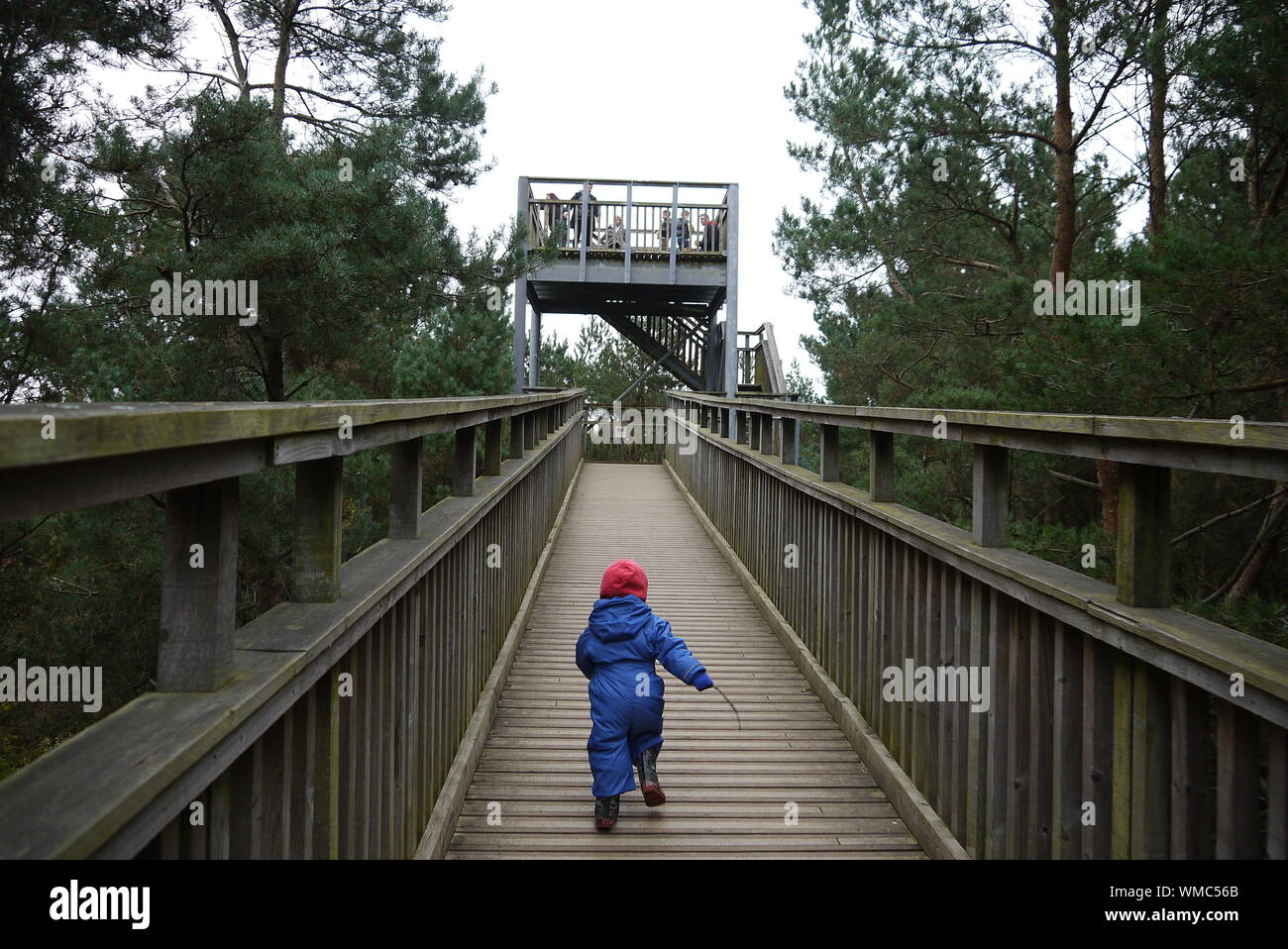 Child wood bridge hi-res stock photography and images - Alamy