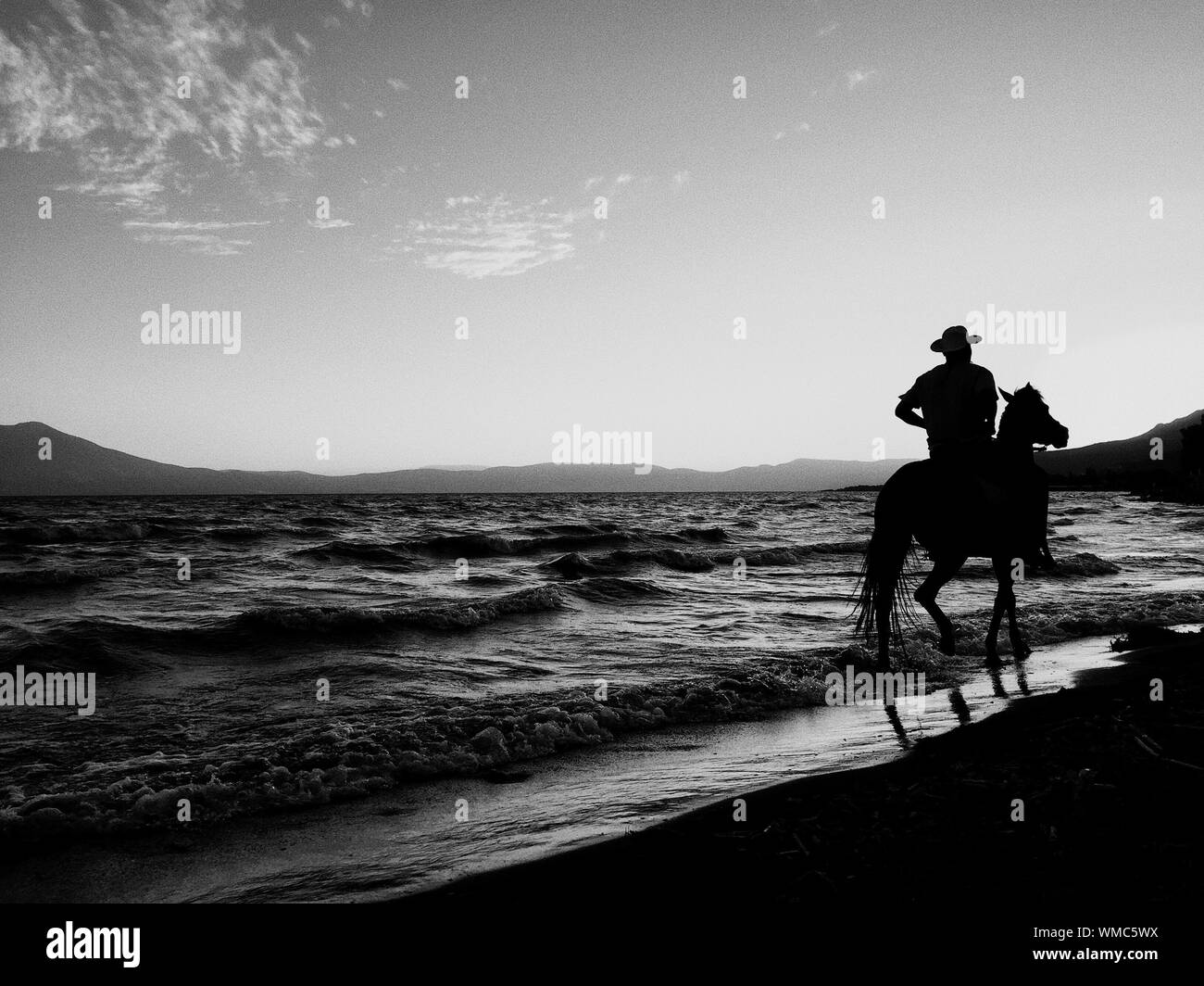Riding horse beach man hi-res stock photography and images - Alamy
