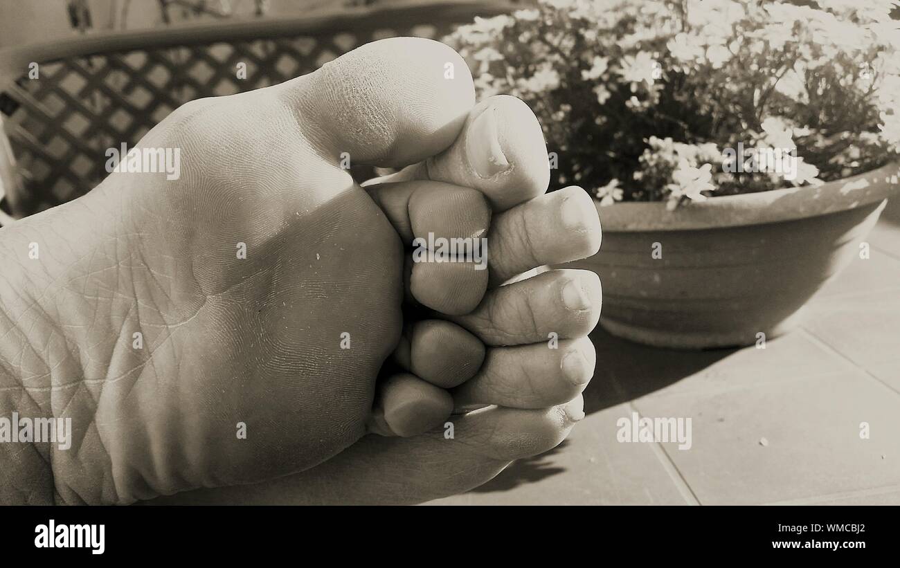 Plant pot feet hi-res stock photography and images - Alamy
