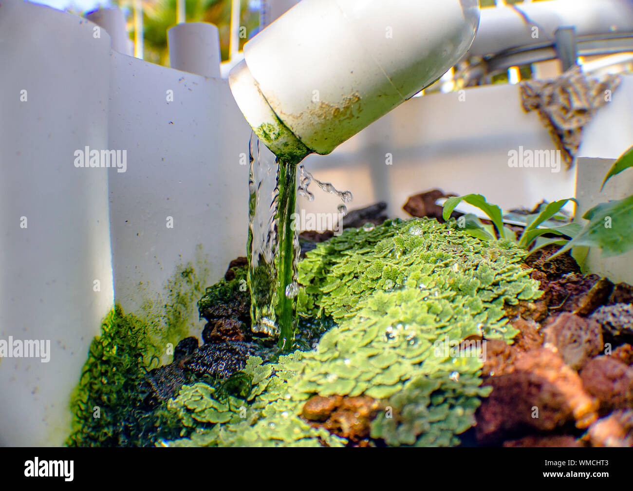 Pipe pouring water hi-res stock photography and images - Alamy