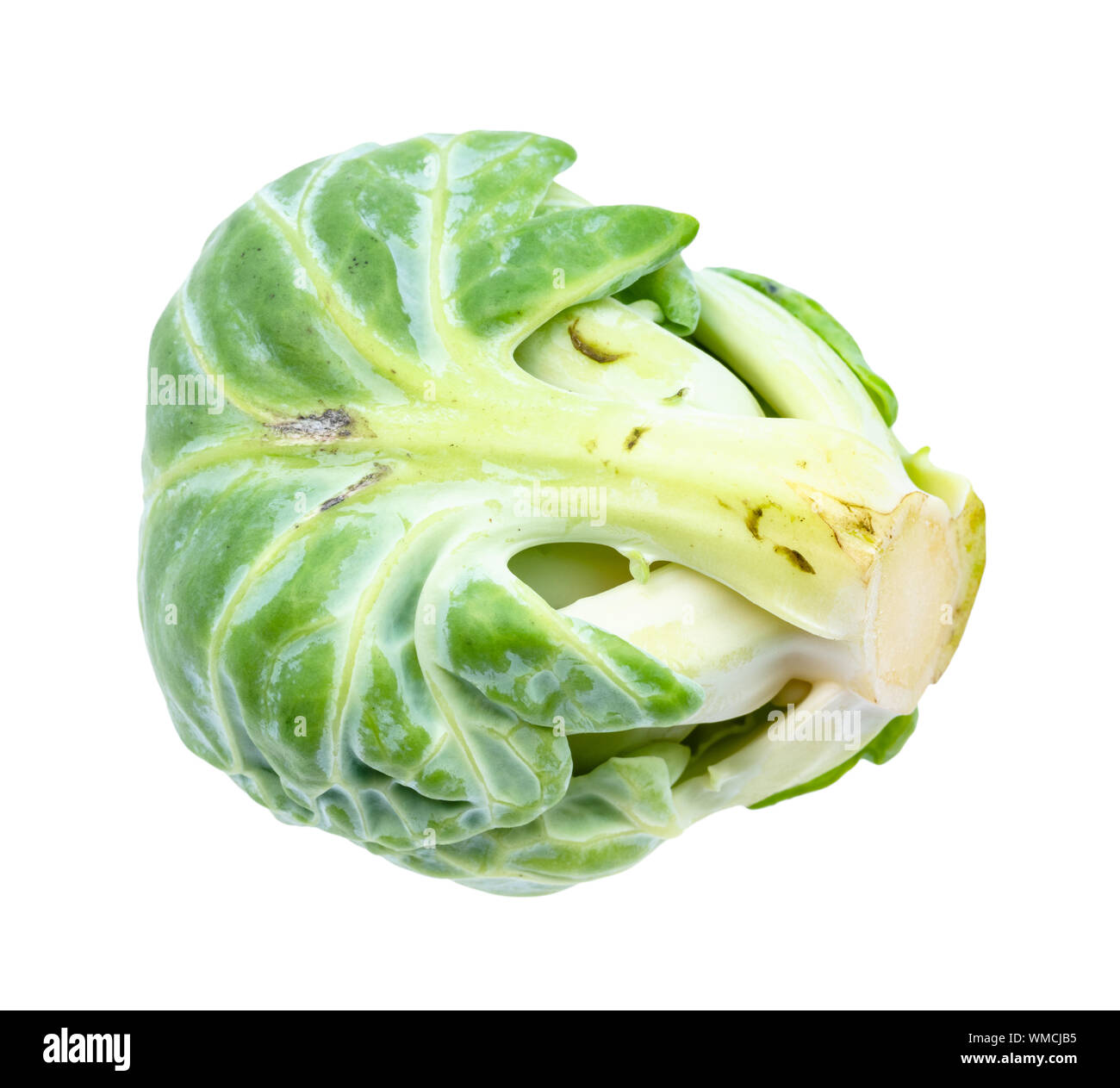 Brussels sprout crop Cut Out Stock Images & Pictures - Alamy