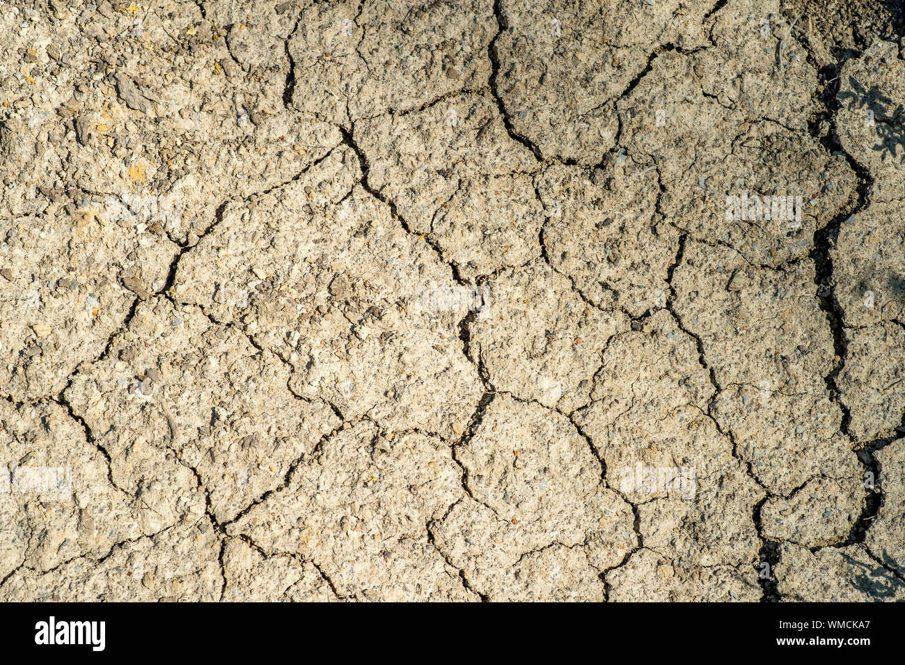 The texture of dehydrated land with a complete lack of vegetation ...