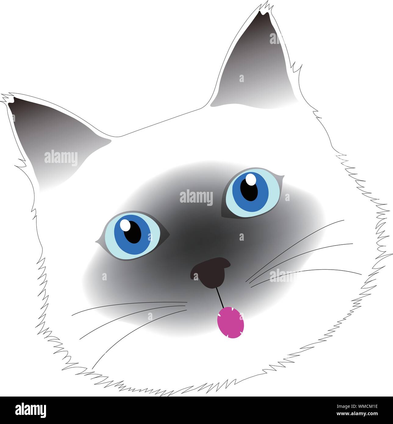 Sacred birman cat Stock Vector Images - Alamy