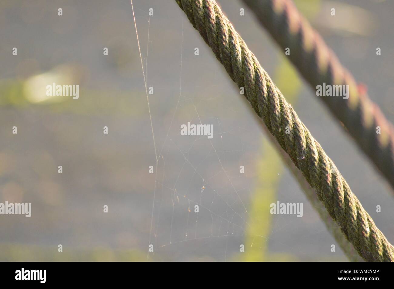 Climbing cable hi-res stock photography and images - Alamy