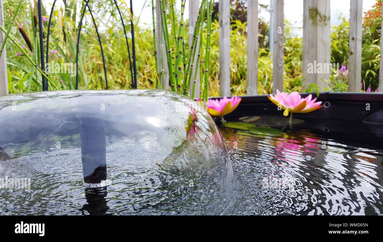 Lotus water fountain hi-res stock photography and images - Alamy