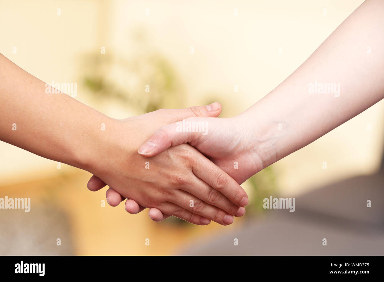 Human hands two friends shaking hi-res stock photography and images - Alamy