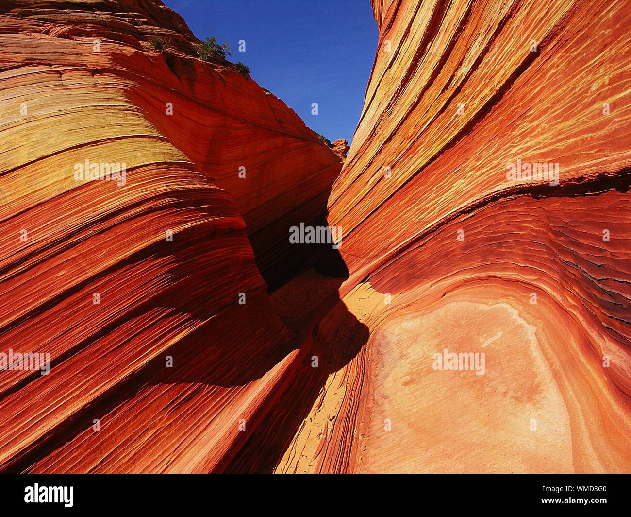 Coyote buttes hi-res stock photography and images - Alamy